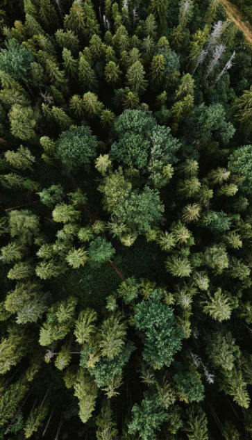 About Us – Morizora